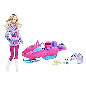 Barbie I Can Be Arctic Rescuer Playset