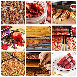 8 Pcs Silicone Dehydrator Sheets, Premium Non Stick Dehydrator Mats, Fruit Dryer Mesh for Food Dehydrator, 14x14 in