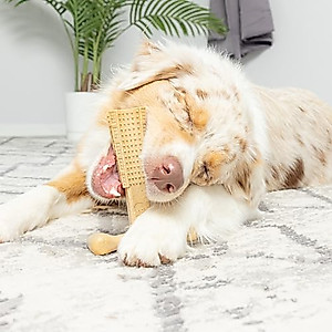 SPOT Bam-Bones Plus T Bone - Bamboo Fiber & Nylon, Durable Long Lasting Dog Chew for Aggressive Chewers – Great Toy for Adult Dogs & Teething Puppies Under 90lbs, Non-Splintering, 7in Chicken Flavor