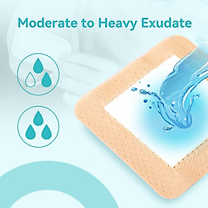 Conkote Silicone Bordered Foam Dressing 2‘’x 5‘’, Water-Resistant & Comfortable, Box of 10 Dressings