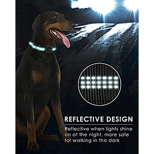 KATUMO AirTag Dog Collar, Reflective Dog Collar for Apple AirTag, Adjustable Soft Nylon Pet Collars with AirTag Holder for Medium Dogs (M, Black)