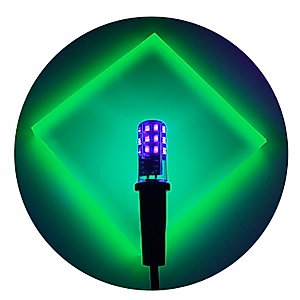 2 Kits Blacklight LED Special Effects Lights for Props Scenery Fluorescent Glow Paints pigments 12V DC Battery Operated Low Voltage Ultraviolet Black Lights