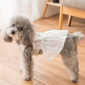 HOUKAI Dress Dog Clothes Dog pet Clothes Skirt Summer Cotton White Skirt (Color : D, Size : Lcode)