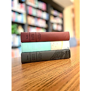 Santa Biblia NTV, Edición compacta, letra grande (SentiPiel, Carbón, Índice, Letra Roja) (Spanish Edition)