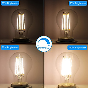 Energetic Dimmable LED Filament Light Bulbs, 8W, 60 Watt Equivalent, Warm White 3000K, Classic Clear Glass, A19 LED Light Bulb, 6 Pack
