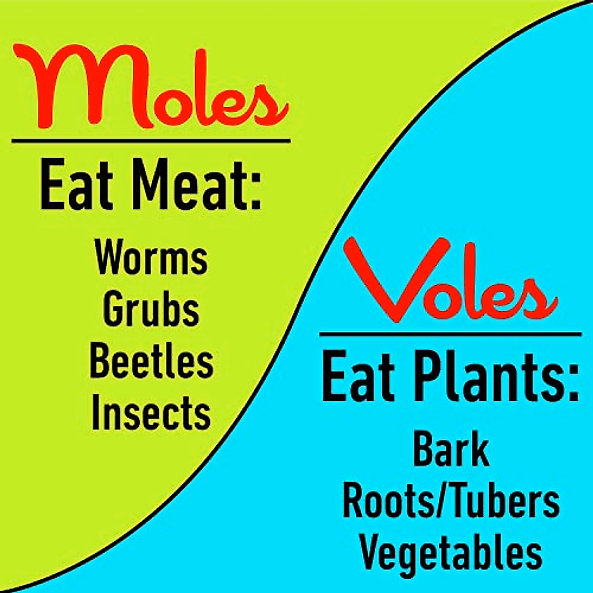 I Must Garden Mole & Vole Repellent: Professional Strength – Twice The Coverage – All Natural Ingredients - Pleasant Scent - 10lb