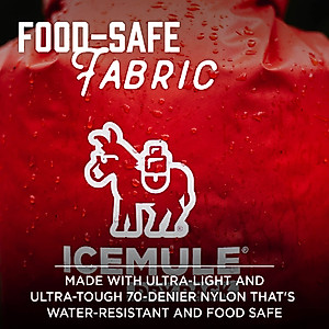 IceMule Pro Dry Pack – Water Resistant Nylon Food Storage Pouch Dry Bag, Perfect for Keeping Lunch Dry While Hiking, Camping, and Beach-Going, 10 Liter, Red