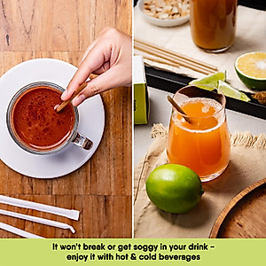 100% Biodegradable Individually Wrapped Cocktail Stirrers – 100 PCS of 5.50 Inches Premium Quality Disposable Coffee Stirrers, Best Biodegradable Stirrers for All Drinks – By The Veggie Straws