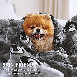 LUSWEET Throw Blanket Warm Fuzzy Plush Blanket Flannel Fleece Bed Blanket Cute Penguins Fun Art Lightweight Blanket Throw for Sofa Bed Couch 40x50 Inch