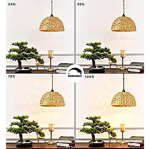 Plug in Pendant Light Rattan Hanging Lights with Plug in Cord Bamboo Hanging Lamp Dimmable,Woven Boho Wicker Basket Lamp Shade,Hemp rope Plug in Ceiling Light Fixture for Living Room Bedroom Kitchen
