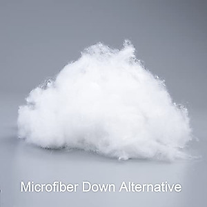 NTBAY 2 Pack Cotton Down Alternative 13x18 Toddler Pillows, Machine Washable - Soft and Breathable Baby Travel Small Pillows for Sleeping, Ideal for Daycare, Crib, Cot