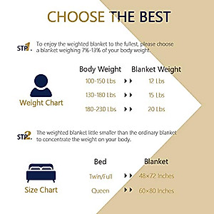 Mr.Sandman Weighted Blanket Adults 15lbs for Queen Size Bed, Soft Sherpa Heavy Blanket Relieves Pressure with Premium Microbeads - 60"x80" Grey