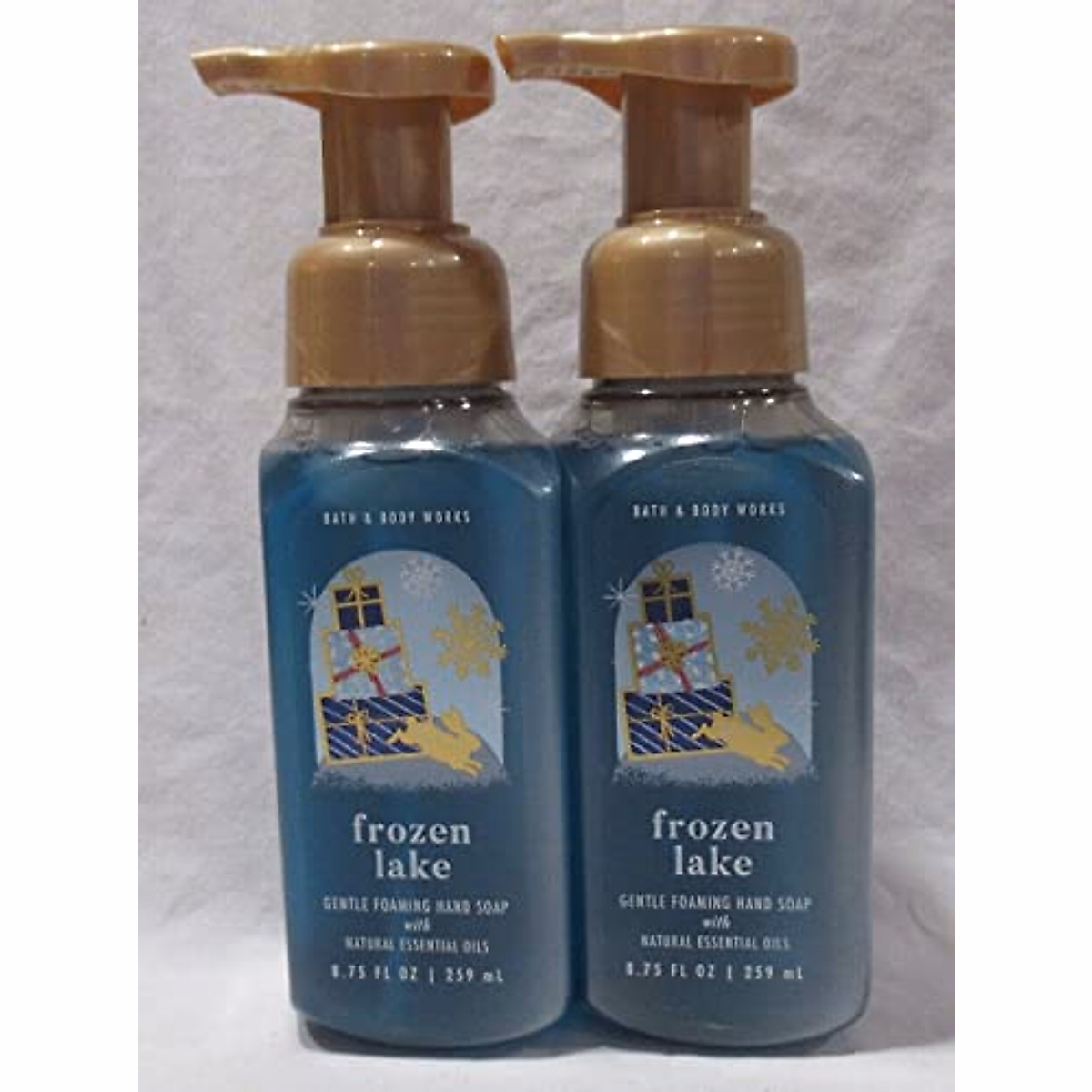 Bath Body 2 Pack bundle Frozen Lake Gentle Foaming Hand Soap 8.75 Ounce bundle