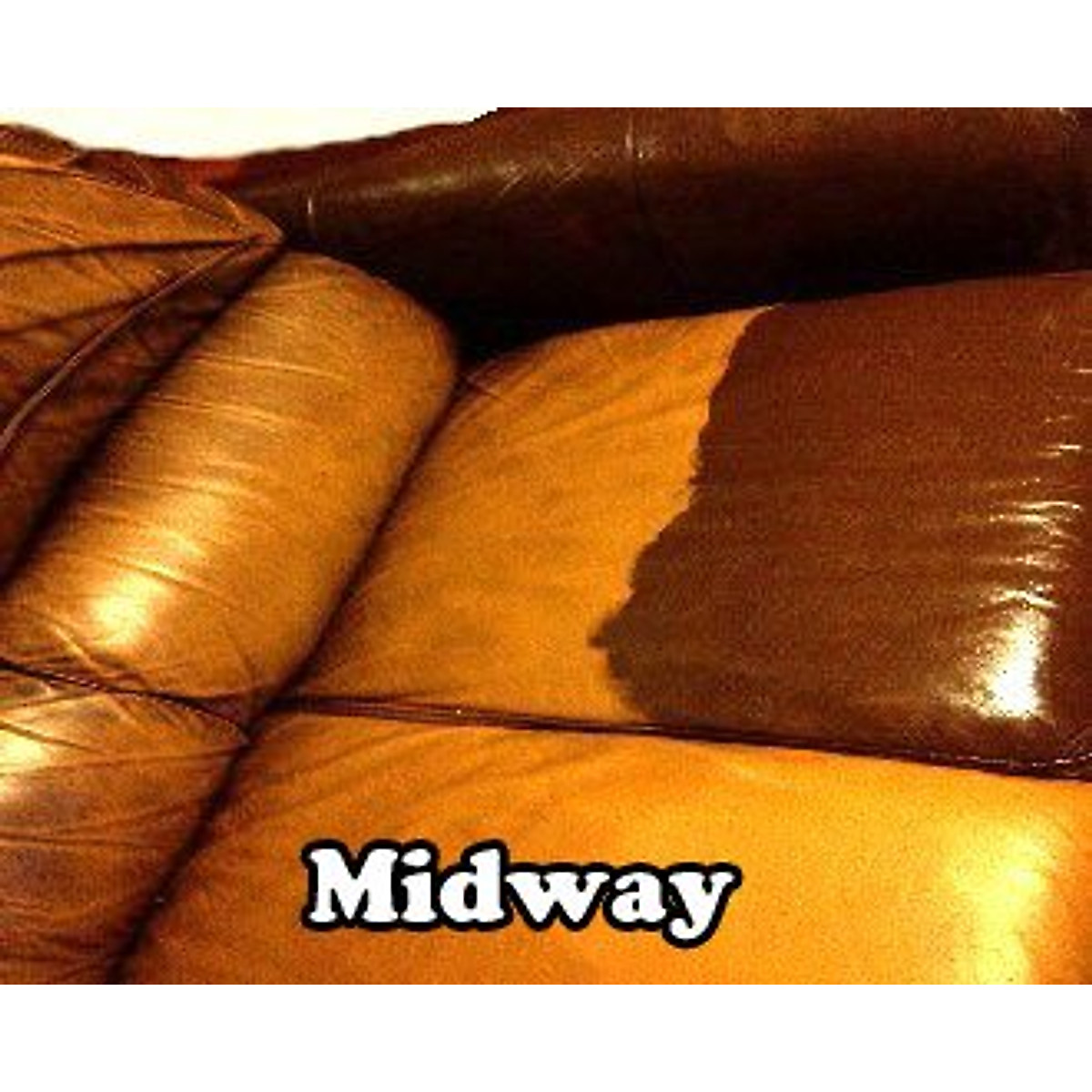 Top Coat Satin Finish Sealer Use on Any Leather or Vinyl or After You Have Used Leather Max by Blend It On Refinish, Keep it All Safe