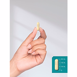 Horbäach Multi Collagen Protein 2000 mg | 180 Capsules | Type I, II, III, V, X | Keto & Paleo Friendly, Gluten Free Supplement