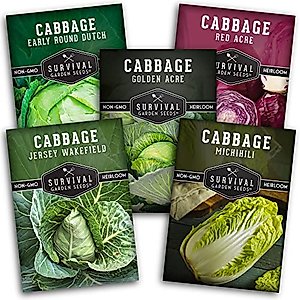 Survival Garden Seeds Cabbage Collection Seed Vault - 5 Non-GMO Heirloom Varieties - Red Acre, Golden Acres, Jersey Wakefield, Early Round Dutch & Michihili (Napa) - Plant & Grow Your Own Vegetables