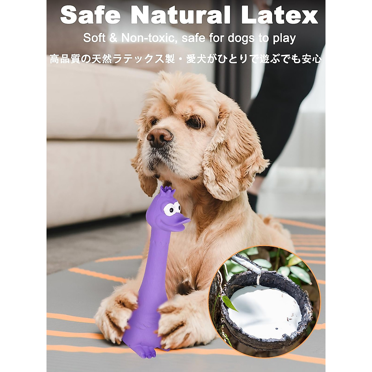 SCHITEC Squeaky Dog Toys, [2 Pack] Squawking Latex Toy with Interactive Squeaker, Squeak Rubber Duck Chicken for Medium Small Dogs