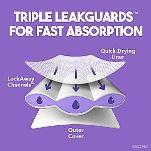 Luvs Size 5 Baby Diapers, Platinum Protection Bluey Diapers for Day & Night, Size 5, 74 Count (Packaging May Vary)