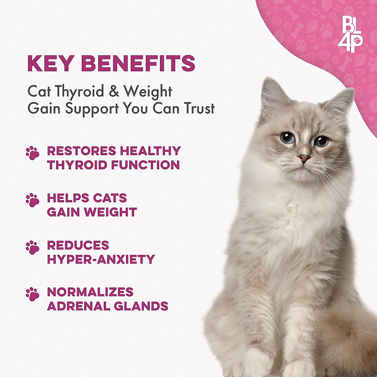 Cat Weight Gain & Hyperthyroidism Treatment - Safe and Effective Cat Appetite Stimulant, Thyroid and Metabolic Support, and Cat Weight Management Remedy - 400 All-Natural Odorless, Tasteless Pills