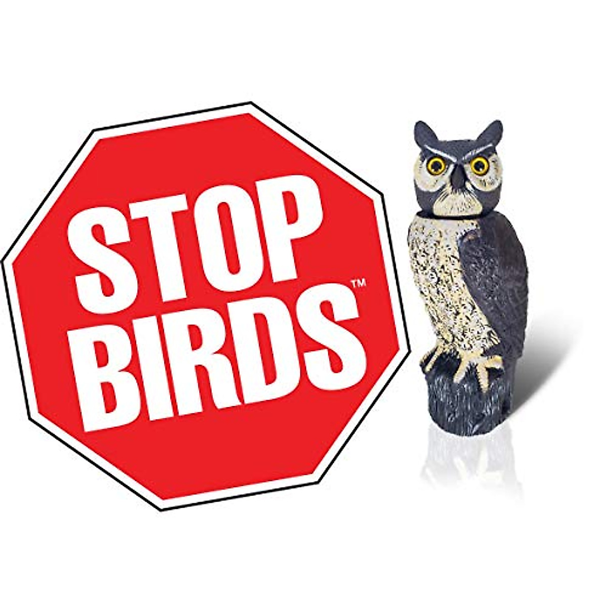Dalen SOL-R Action Solar Fake Owl Decoy to Scare Birds Away from Gardens, Rooftops, and Patios - Scarecrow Provides Chemical-Free Pest Control - Safe and Humane, 18" 360º Rotating Head