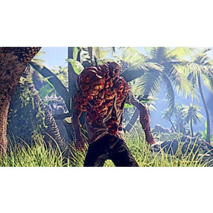 Dead Island Definitive Edition Collection (PS4)
