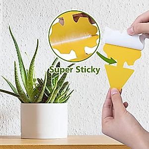 40 Pack Fungus Gnat Traps for House Indoor Yellow Sticky Traps for Plants, Dual-Sided Fungus Gnat Sticky Traps Fruit Fly Traps for Indoors