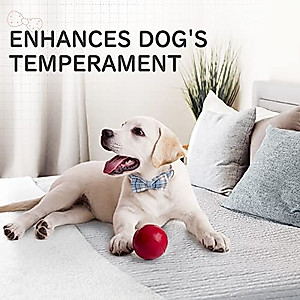 Dog Collar for Small Medium Large Dogs & Cats, Summer Popular Dog Collar with Personalized Print for Girl & Boy Dogs Adjustable Puppy Bow Tie Collar Attachment with Golden Metal Buckle