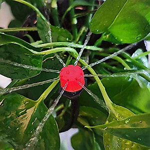 Optimisland Drip Irrigation Kit, 50ft Garden Irrigation System, 1/4" Blank Distribution Tubing Drip Irrigation Hose for, Save Water, Adjustable Automatic Irrigation Equipment for Garden (168PCS+50FT)