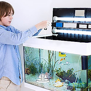 Honeydak 4 Pieces Snail Trap Plastic Aquarium Snail Trap for Fish Tank Clear Snail Catcher Fish Plants Leech Planarian Catch Box for Aquarium Fish Tank