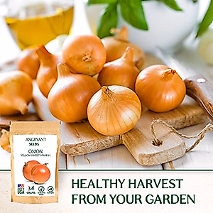 Yellow Sweet Spanish Onion Seeds for Planting Indoors and Outdoors - 1600+ Non GMO Seeds Per Packet - 100% USA Grown - Heirloom Seeds for Home Vegetable Garden
