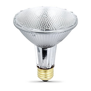 Feit Electric 55PAR30/L/QFL/ES/2 56-watt Energy Saving Halogen PAR30 Long Neck Reflector, 2-Pack