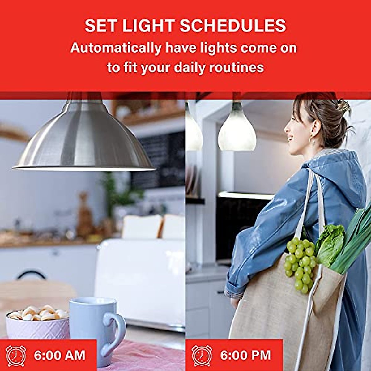 Sengled Smart Light Bulbs, WiFi Light Bulbs, Alexa Light Bulb, Smart Bulbs that Work with Alexa & Google Assistant, A19 Daylight (5000K) No Hub Required, 800LM 60W Equivalent High CRI>90, 2 Pack