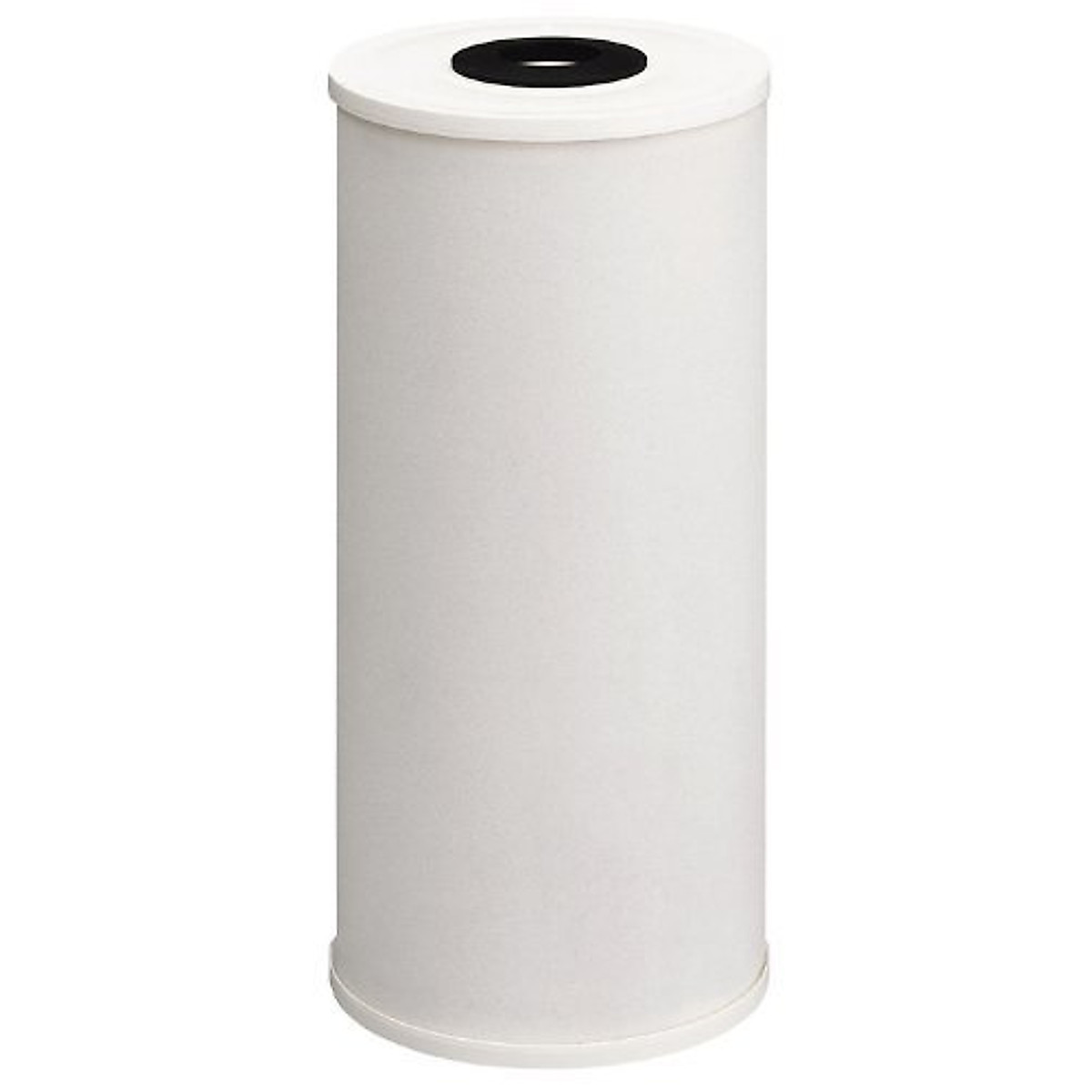 Fette Filter - Premium Heavy Duty Sediment Replacement Cartridge Compatible with GE FXHTC. Also Compatible with RFC-BBSA. 2-Pack