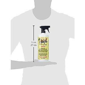 Poop-Off Bird Poop Remover Sprayer, 32-Ounce 2 Pack
