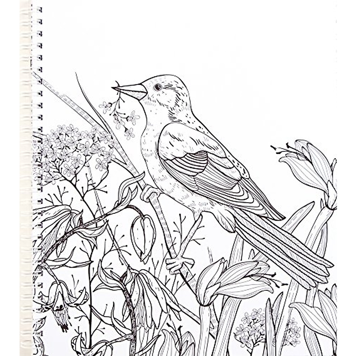 Color & Frame - 3 Books in 1 - Nature, Country, Patchwork (Adult Coloring Book)