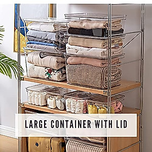 Tidyhome - 2 XLARGE Clear Plastic storage bins with lids- (14inchL×11inchW×9inchH)-Bins Handle for Office, Entryway,Cabinet, Bedroom, Laundry Room, Nursery and Transparent 14.2inchL×11inchW×9inchH