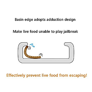 2PCS Reptile Food Dish Bowl Worm Water Dish Lizard Gecko Ceramic Pet Bowls, Mealworms Bowls Anti-Escape Mini Superworm Feeder Set with Long Tweezers Feeding Tools and Cleaning Tools