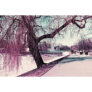 Lomochrome Purple 35 mm ISO 100-400