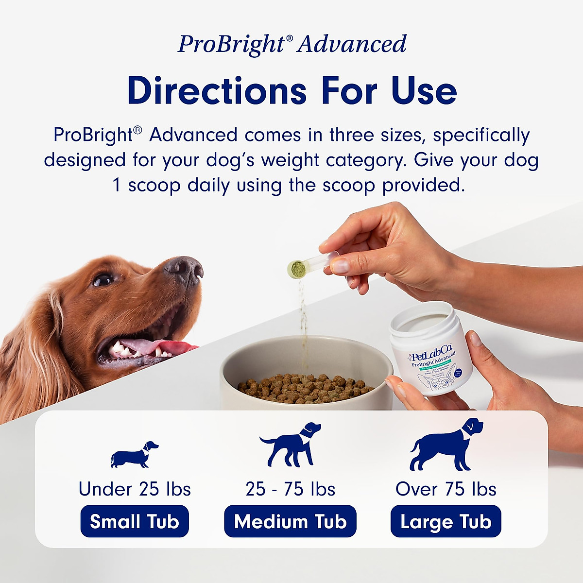 PetLab Co. - Clean Teeth Bundle: Dental Powder for an Effortless Deep Clean in 1 Scoop for Large Dogs & Dental Chew for Delicious Dog Dental Care - Easy to Use - Innovative Formulas