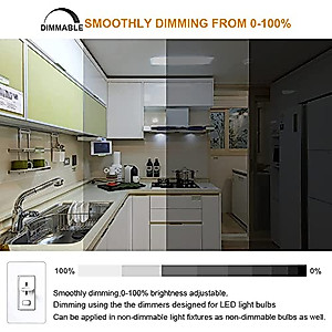 E17 LED Bulb Dimmable, 5W Microwave Oven Bulb, Daylight White 6000K, 40W Halogen Bulb Replacement for Microwave, Over Stove Appliance, Range Hood, Refrigerator, E17 Intermediate Base (2 Pack)