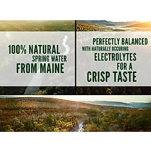 Poland Spring Water Bottles - Poland Spring Small Water Bottles, Mini Water Bottle, Poland Spring 8 oz Bottled Water 16 Pack - Bottled Poland Spring Water - Spring Water Bottles 16 Pack