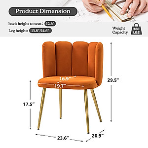 HULALA HOME Velvet Accent Chairs Modern Vanity Chairs for Makeup Room, Comfy Upholstered Dining Chairs for Living Room with Shell Back and Golden Metal Legs/Orange