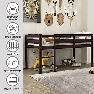 Bellemve Low Loft Bed Twin Size Wooden Loft Bed Frame with Ladder for Kids Girls Boys Teens, Espresso