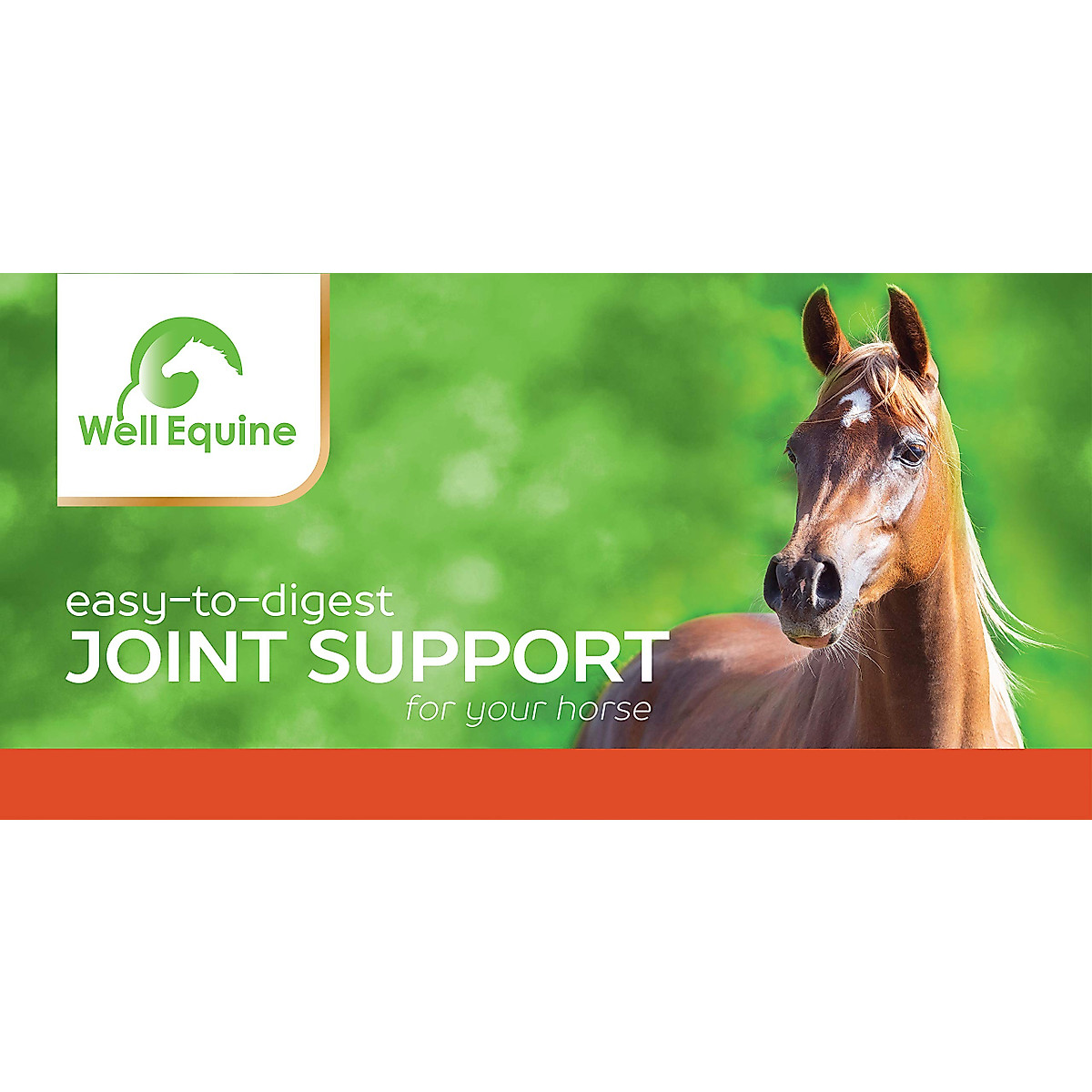 Equine Joint Health Supplement | Liquid Horse Glucosamine with MSM, Chondroitin and Hyaluronic Acid | Highly Effective Liquid Horse Joint Supplement | 1qt