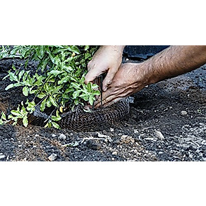 RootGuardTM Speed Baskets, Gopher Wire Baskets. (1-Quart Mini - 6 Pack)