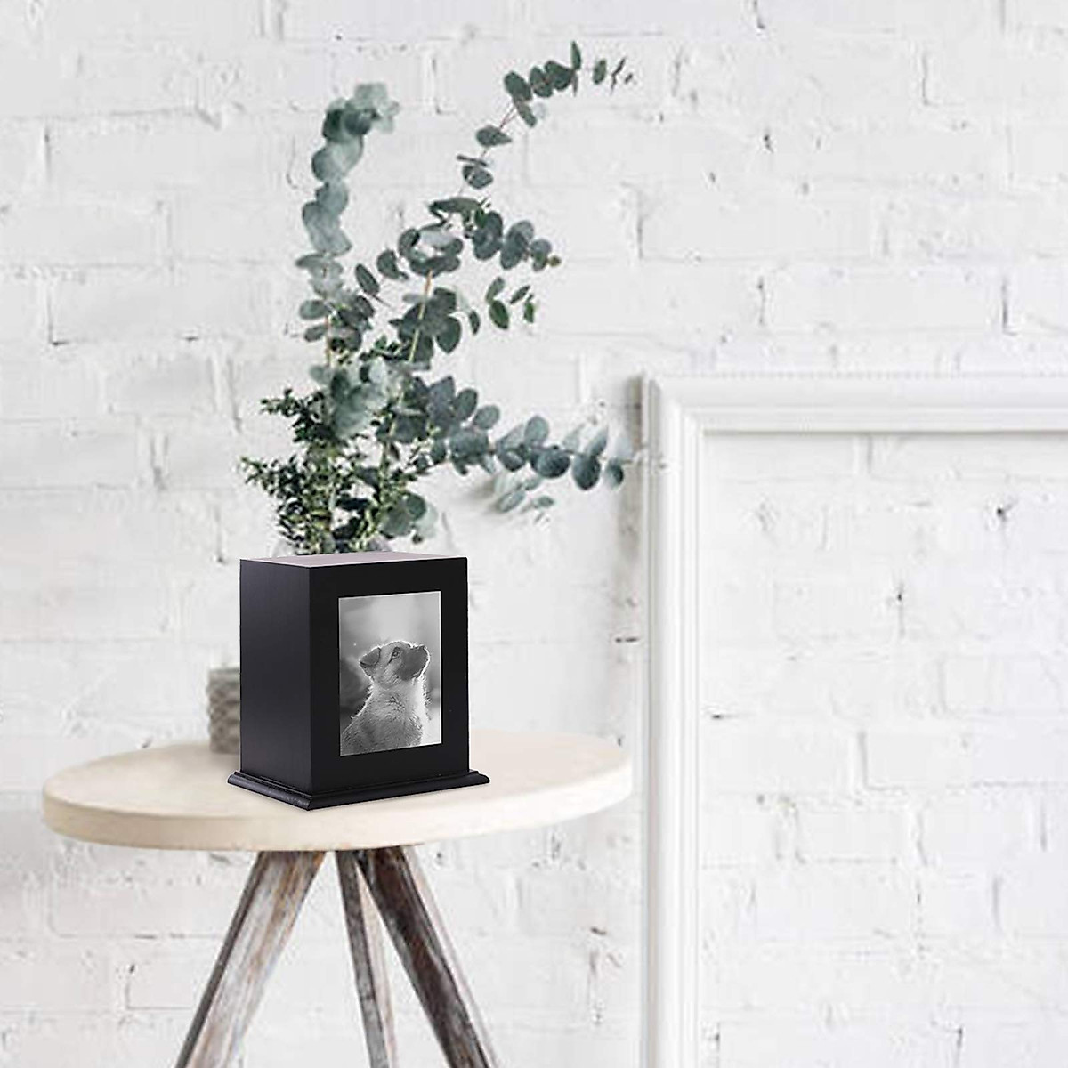 BRKURLEG Pet Wood Memorial Urn for Ashes,Photo Frame Keepsake Box for Cats Dogs,Funerary Caskets Supplies Burly Wood Cremation Urns with Acrylic Glass Photo Protector for Pet Lovers