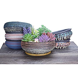 ARTKETTY Succulent Pots, 8 Inch Large Succulent Planters with Drainage Ceramic Bonsai Pot with Tray for Indoor Outdoor Plants Garden Decorative Cactus Flower Plant Container Bowl
