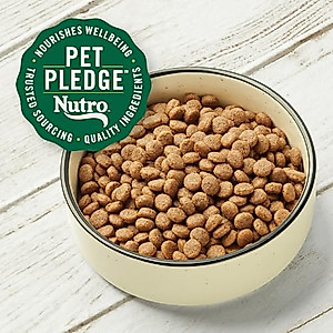 Nutro Max Adult Dry Dog Food with Farm-Raised Chicken, 36 lb. Bag