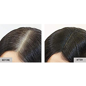 Style Edit Root Concealer Touch Up Spray | Instantly Covers Grey Roots | Professional Salon Quality Cover Up Hair Products for Women |Black 2 Ounce (Pack of 1)