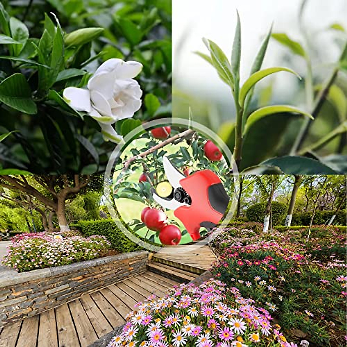 Professional Cordless Electric Pruning Shears, Backup Rechargeable 2.5Ah Lithium Battery×2 Powered Tree Branch Pruner, 30MM (1.2 Inch) Cutting Diameter